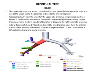 Anatomy of lungs 3DR NIKUNJ R SHEKHADA (MBBS,MS GEN SURG DNB CTS SR) | PPTX