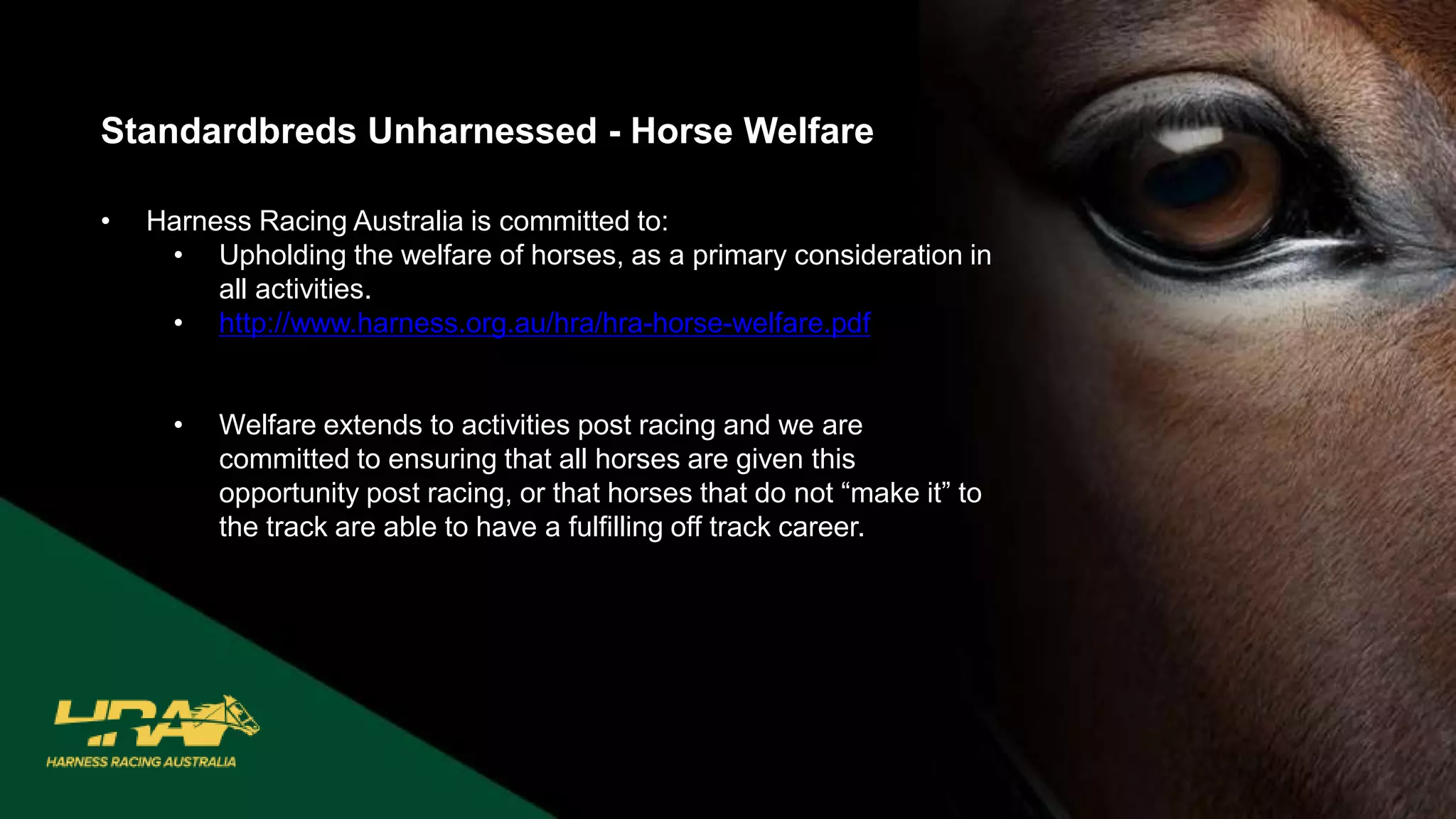 Harness Racing Australia Changing Rein Presentation | PPT