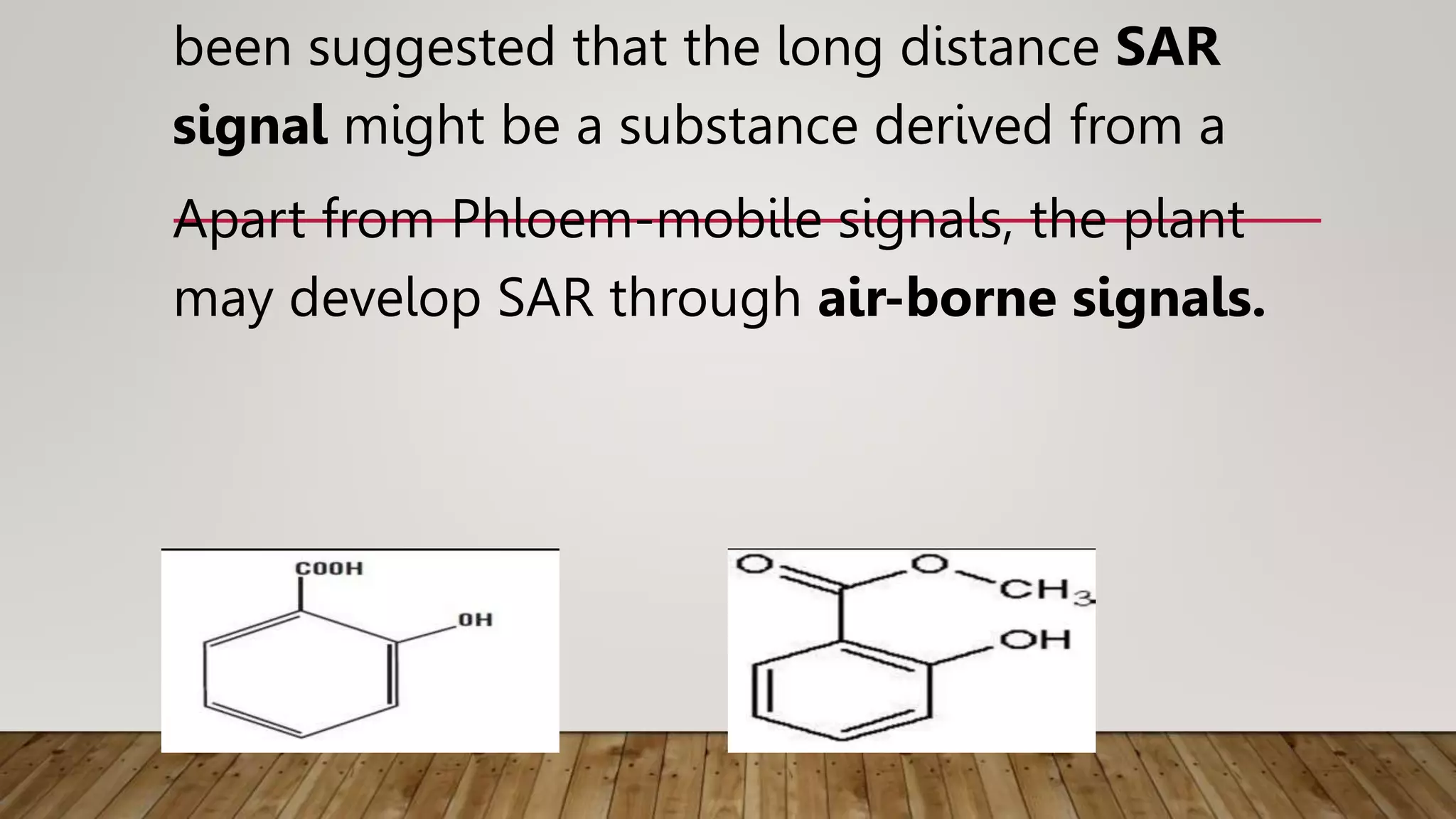 HR and SAR Mechanism 1.pptx