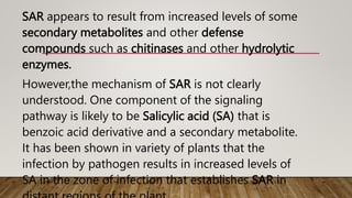 HR and SAR Mechanism 1.pptx