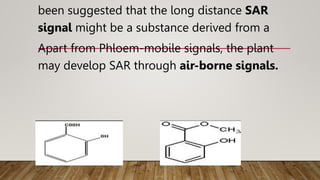 HR and SAR Mechanism 1.pptx