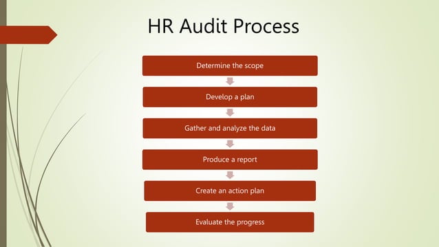 HR AUDIT AND EVALUATION.pptx