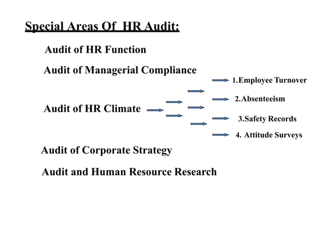 HR audit ppt.pptx