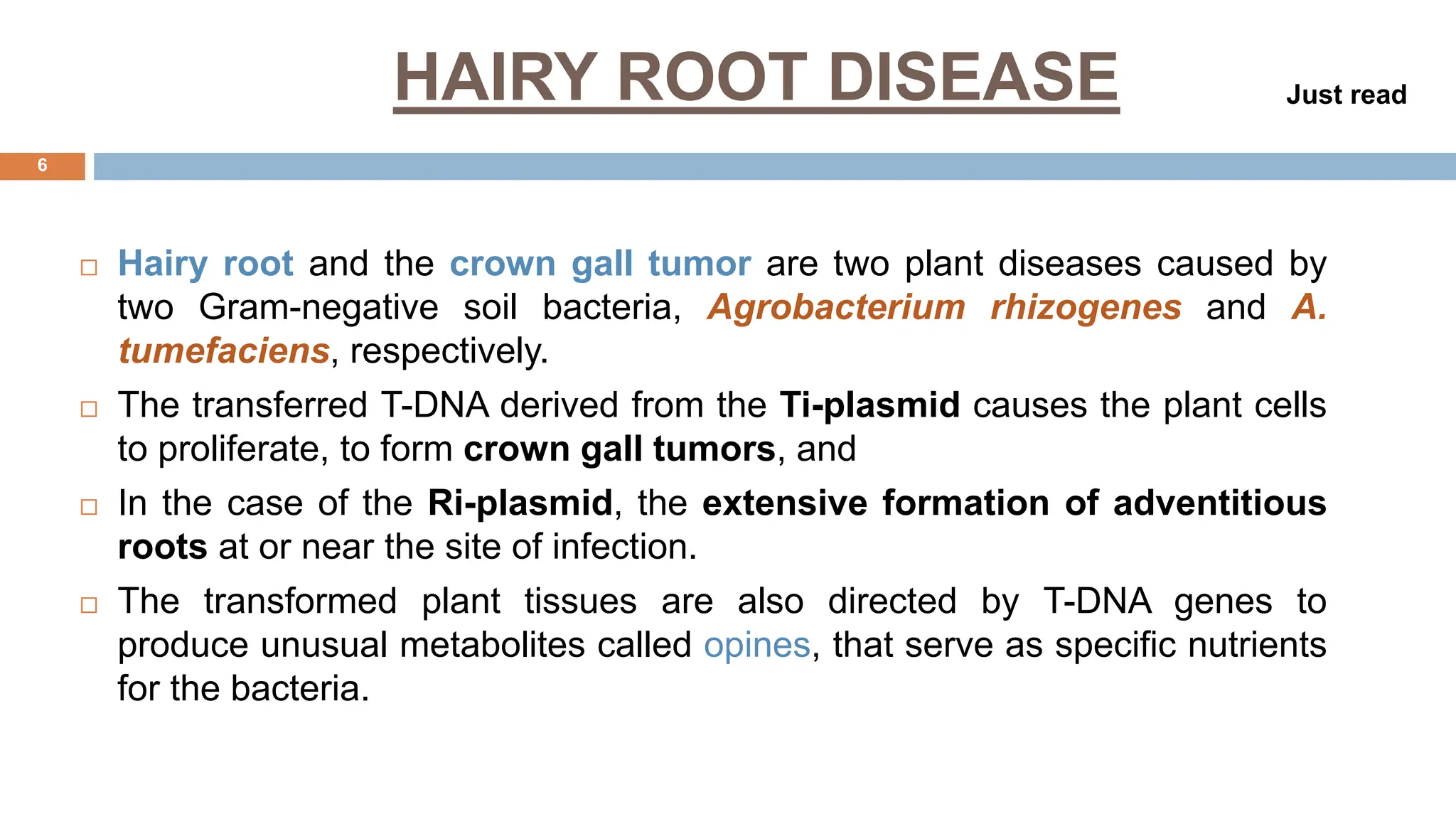 hairy root culture: method, merits, demerits, applications | PPTX