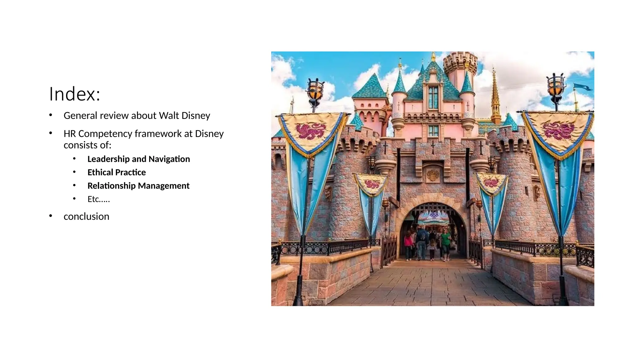 HR Competency at Walt Disneyيارلاس\وراتلا\سويبر.pptx