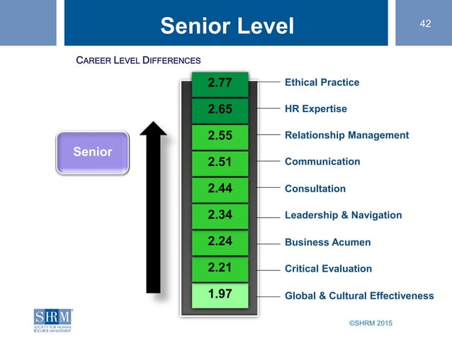 Hr Competency Model: A Road Map for Success