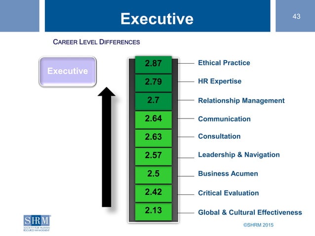 Hr Competency Model: A Road Map for Success