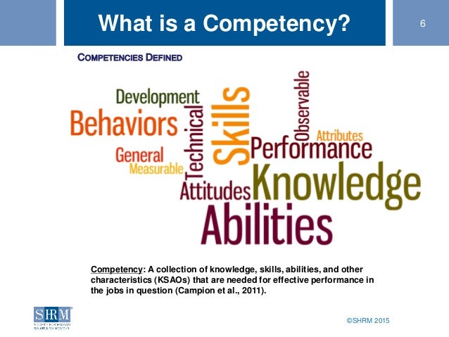 Hr Competency Model: A Road Map for Success