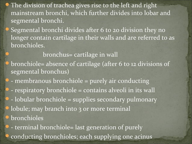Hrct anatomy | PPT | Lung and Respiratory Health | Diseases and Conditions