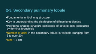 Radiological Approach To Diffuse Lung Diseases | PPTX