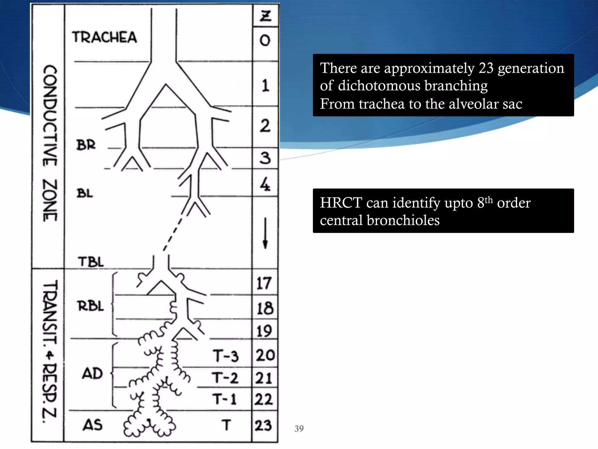 HRCT TECHNIQUE AND INTERPRETATION | PDF