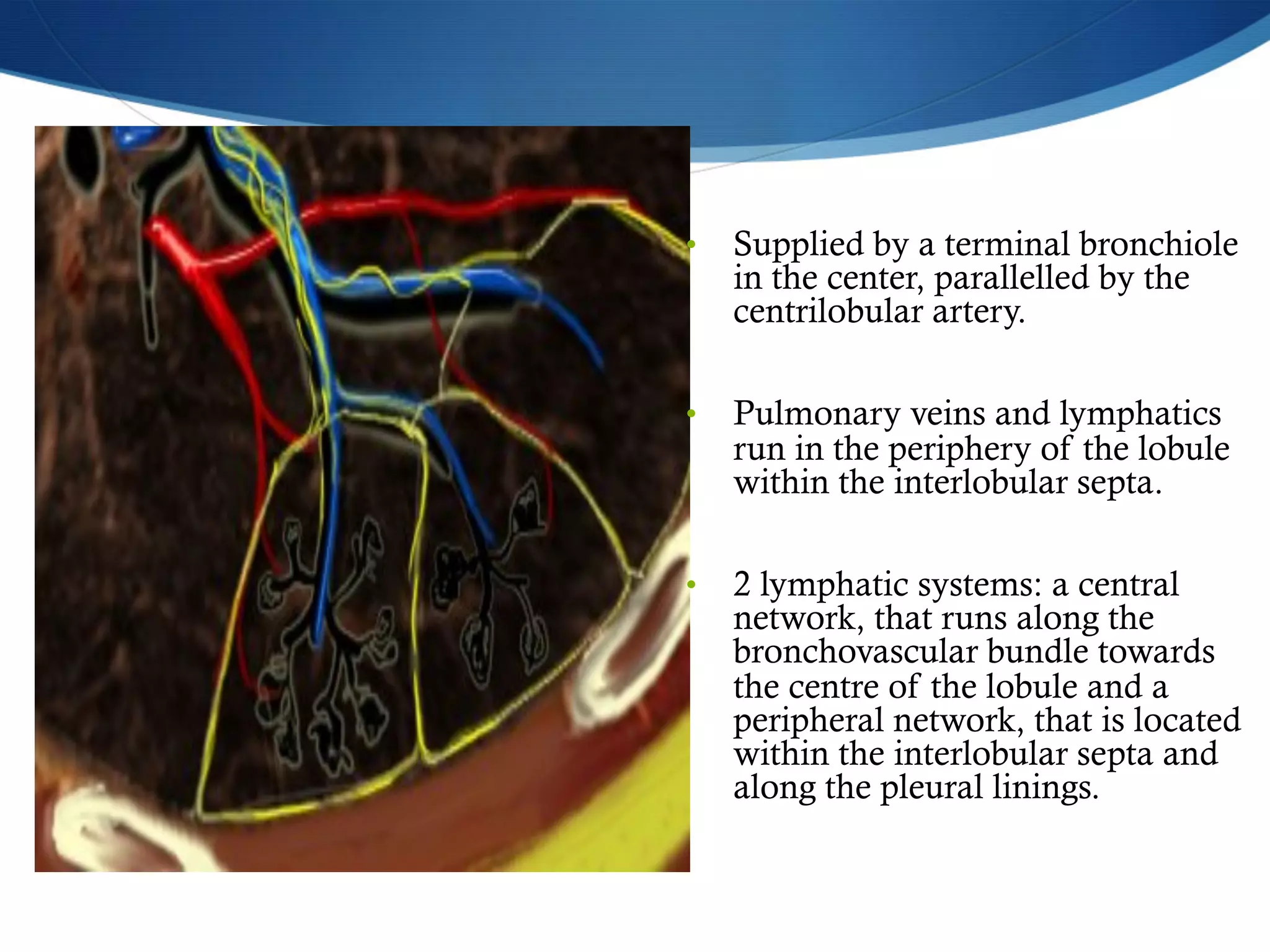 HRCT TECHNIQUE AND INTERPRETATION | PDF