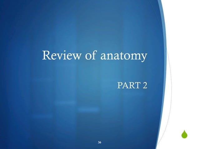 HRCT TECHNIQUE AND INTERPRETATION | PDF