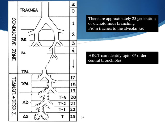 HRCT TECHNIQUE AND INTERPRETATION | PDF