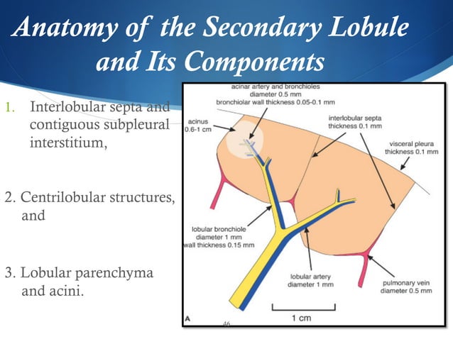 HRCT TECHNIQUE AND INTERPRETATION | PDF