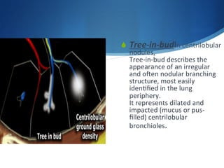 HRCT TECHNIQUE AND INTERPRETATION | PDF