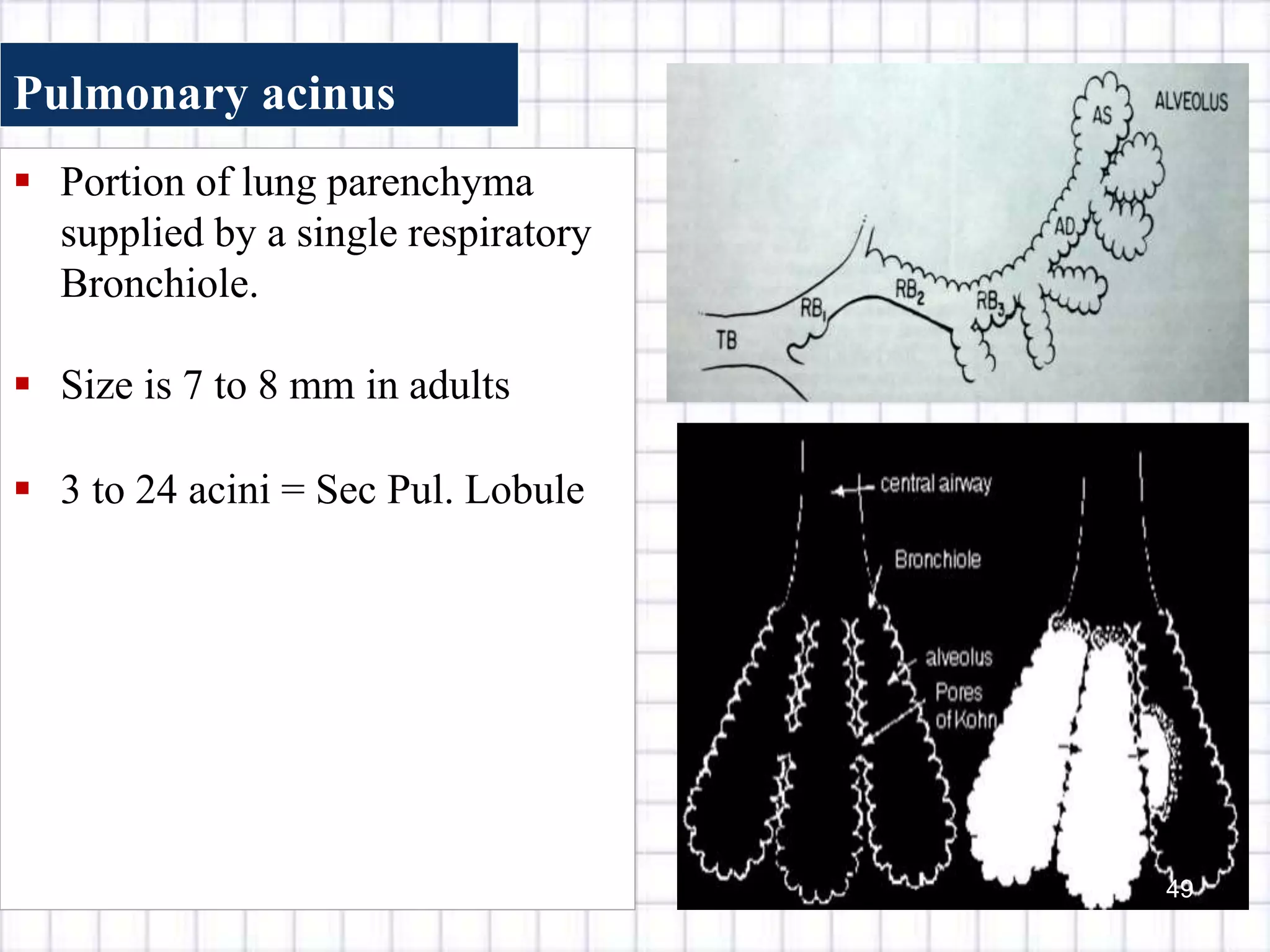 HRCT Chest - By Dr. Tinku Joseph | PPTX