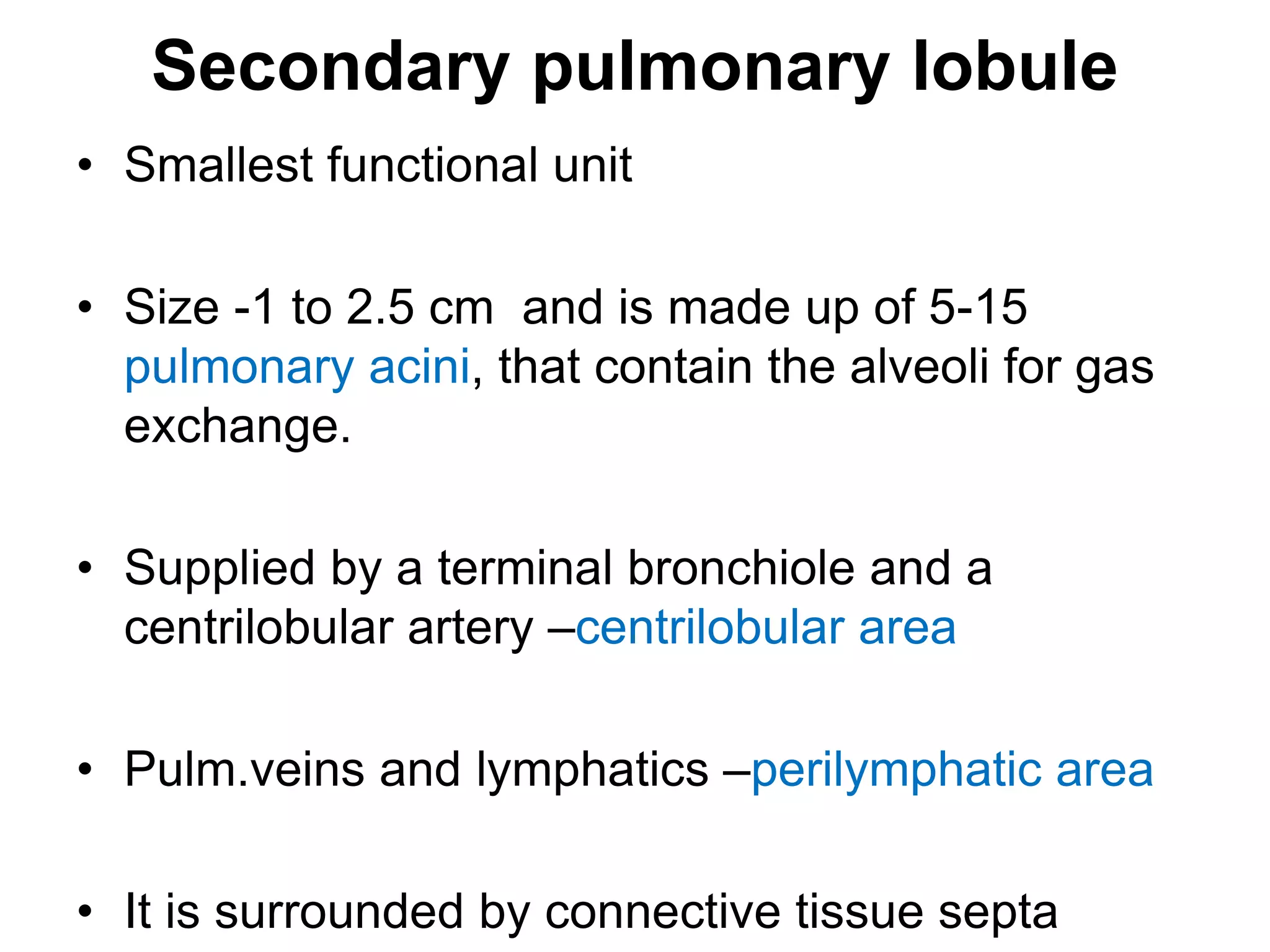 HRCT LUNG-BASIC INTERPRETATION | PPT