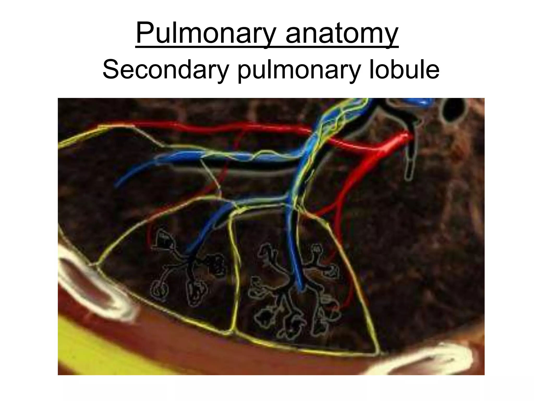 HRCT LUNG-BASIC INTERPRETATION | PPT