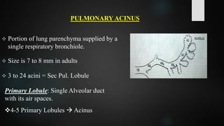 HRCT evaluation of nodular lung diseases and CT guided biopsy of ...