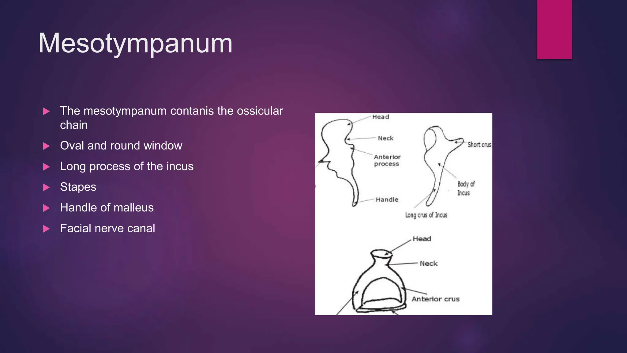 High Resolution Computer TomographyTEMPORAL BONE Pathology.pptx
