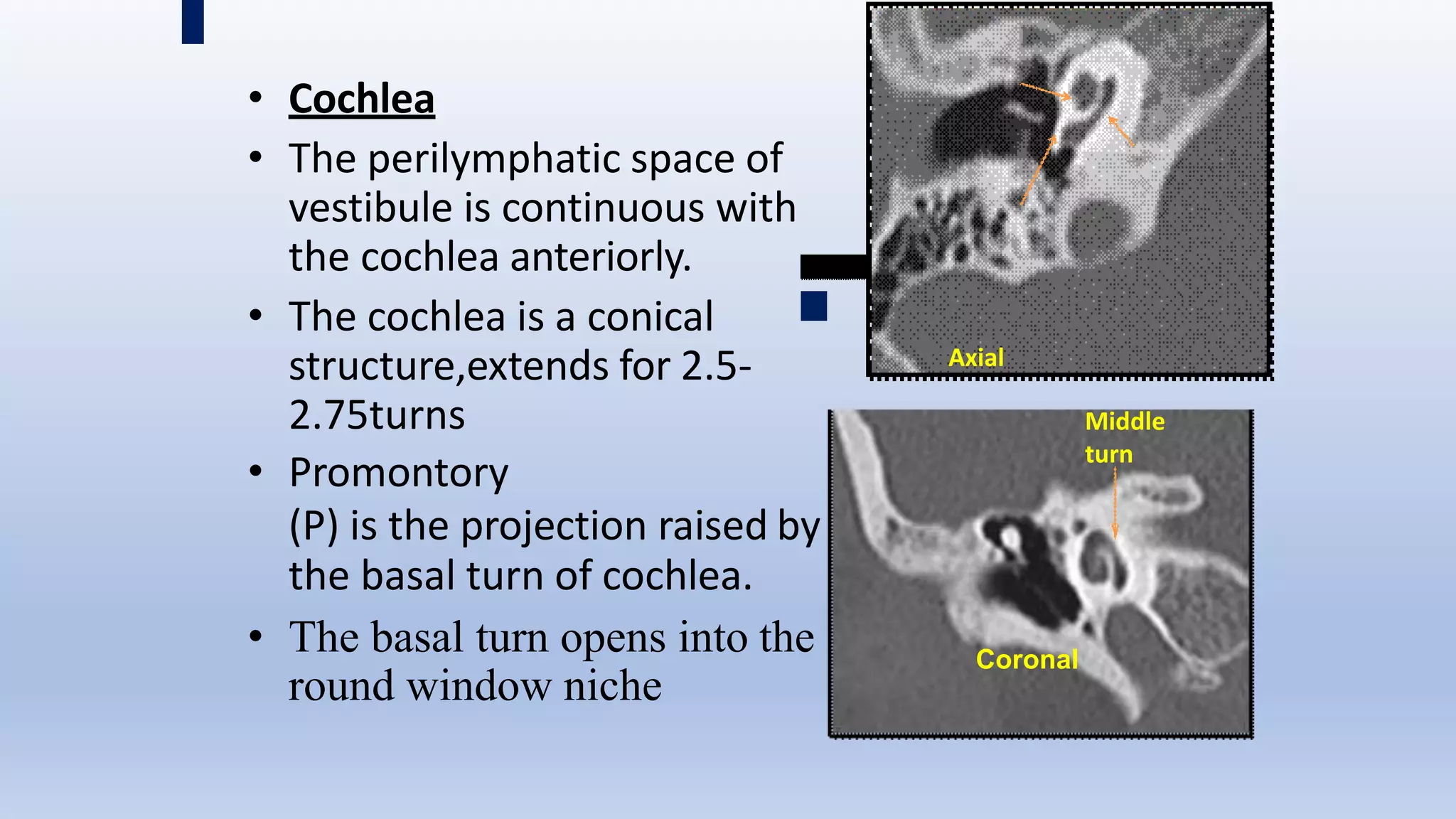 Hrct temporal bone pk1 ppt | PPTX
