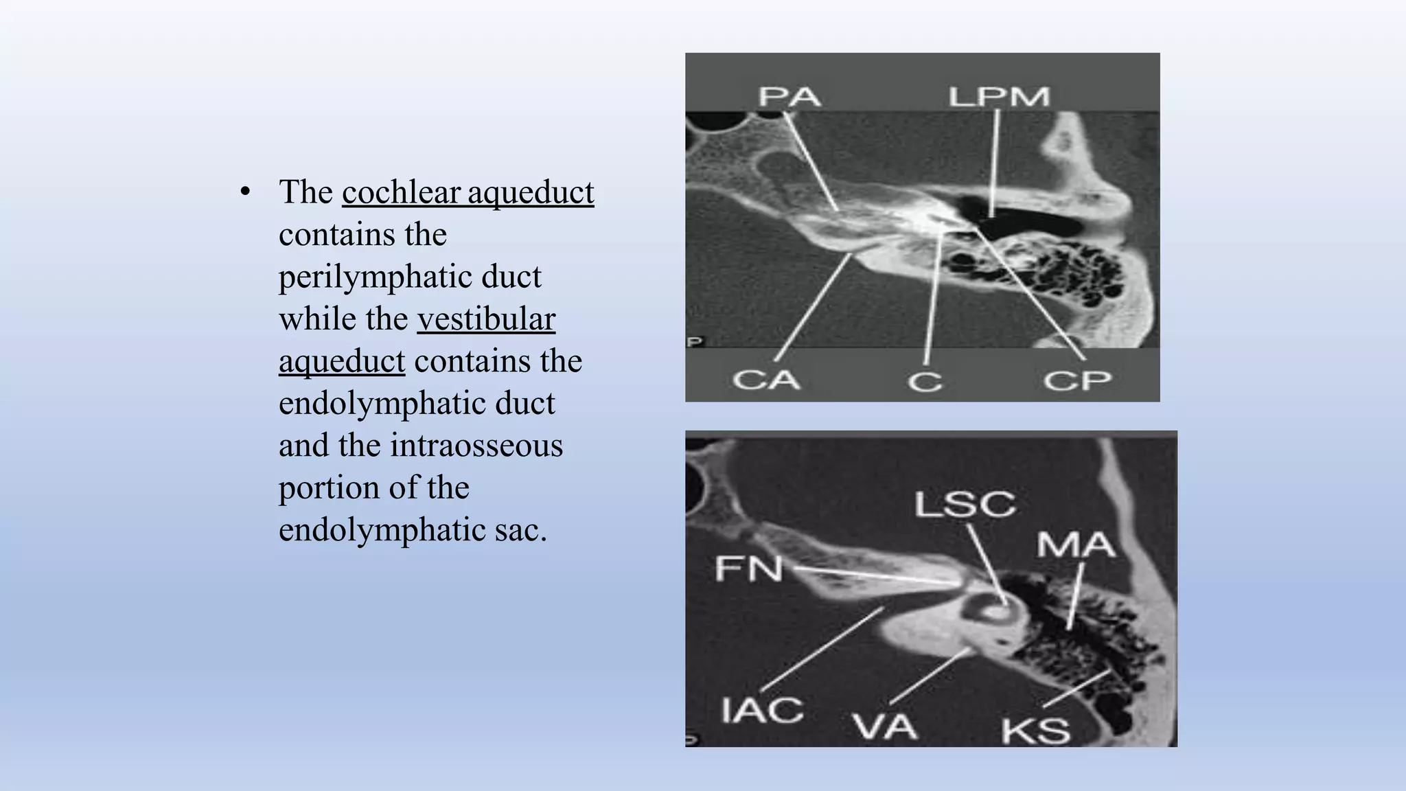 Hrct temporal bone pk1 ppt | PPTX
