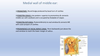 Hrct temporal bone pk1 ppt | PPTX