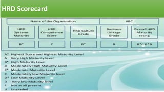 Human Resource Development Audit | PPTX