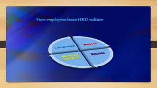 Hrd culture | PPT