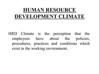 Hrd culture | PPTX