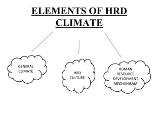 Hrd culture | PPTX