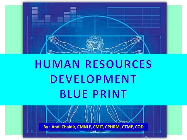Human Resorces Development Blueprint | PPTX | Human Resources | Business