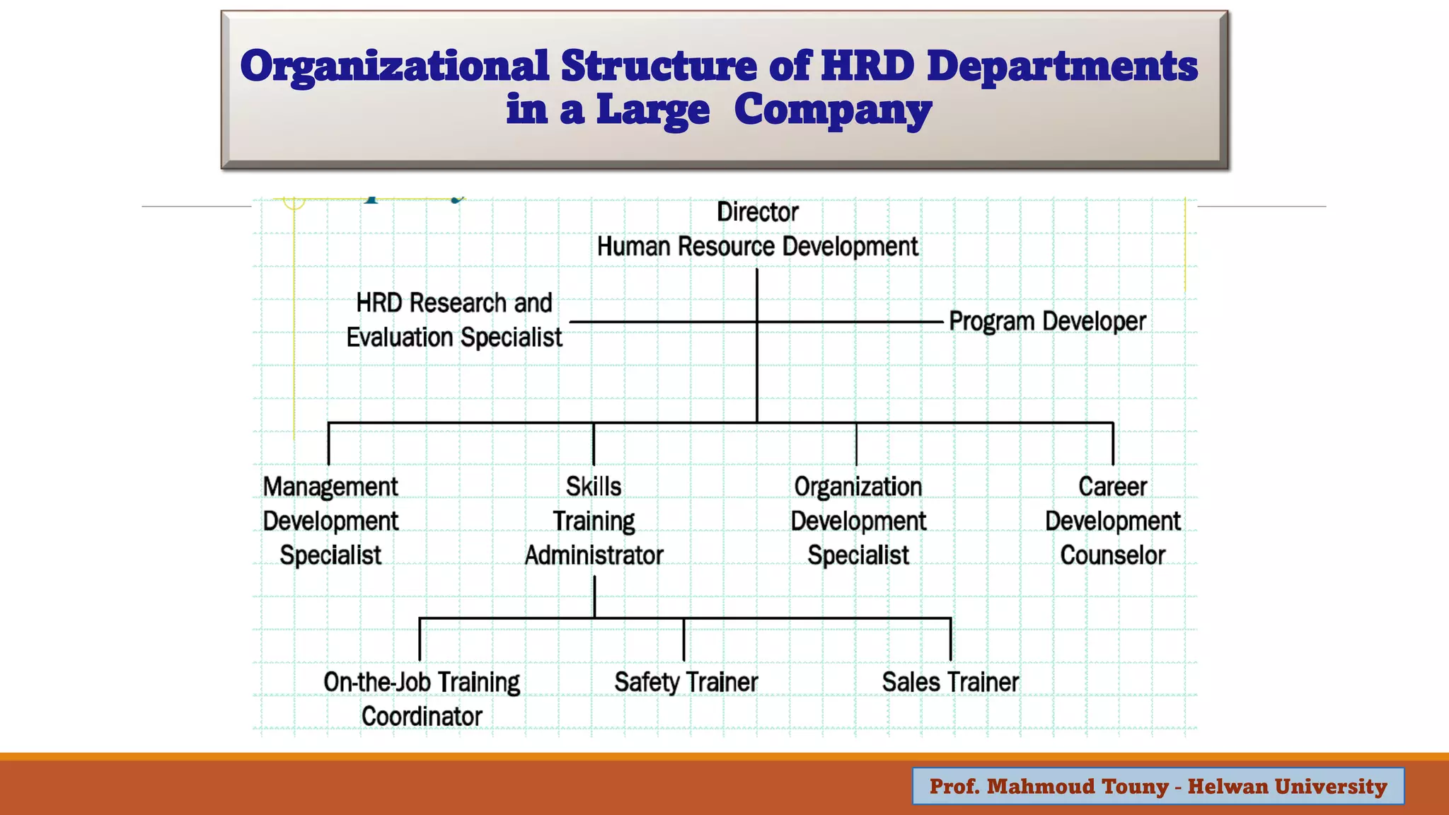 Roles and phases of HRD | PDF