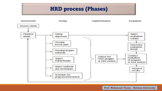 Roles and phases of HRD | PDF | Executive Leadership & Management | Business