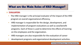 Roles and phases of HRD | PDF