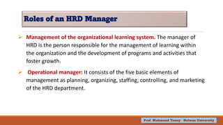 Roles and phases of HRD | PDF