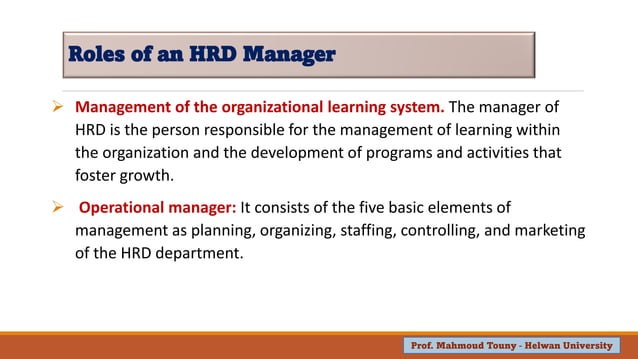 Roles and phases of HRD | PDF | Executive Leadership & Management ...