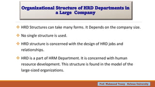 Roles and phases of HRD | PDF