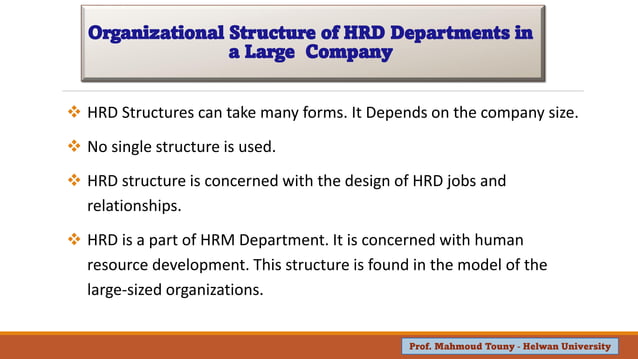 Roles and phases of HRD | PDF | Executive Leadership & Management ...
