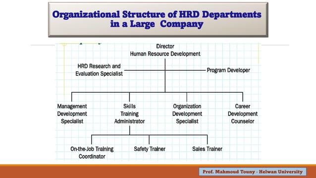 Roles and phases of HRD | PDF | Executive Leadership & Management ...