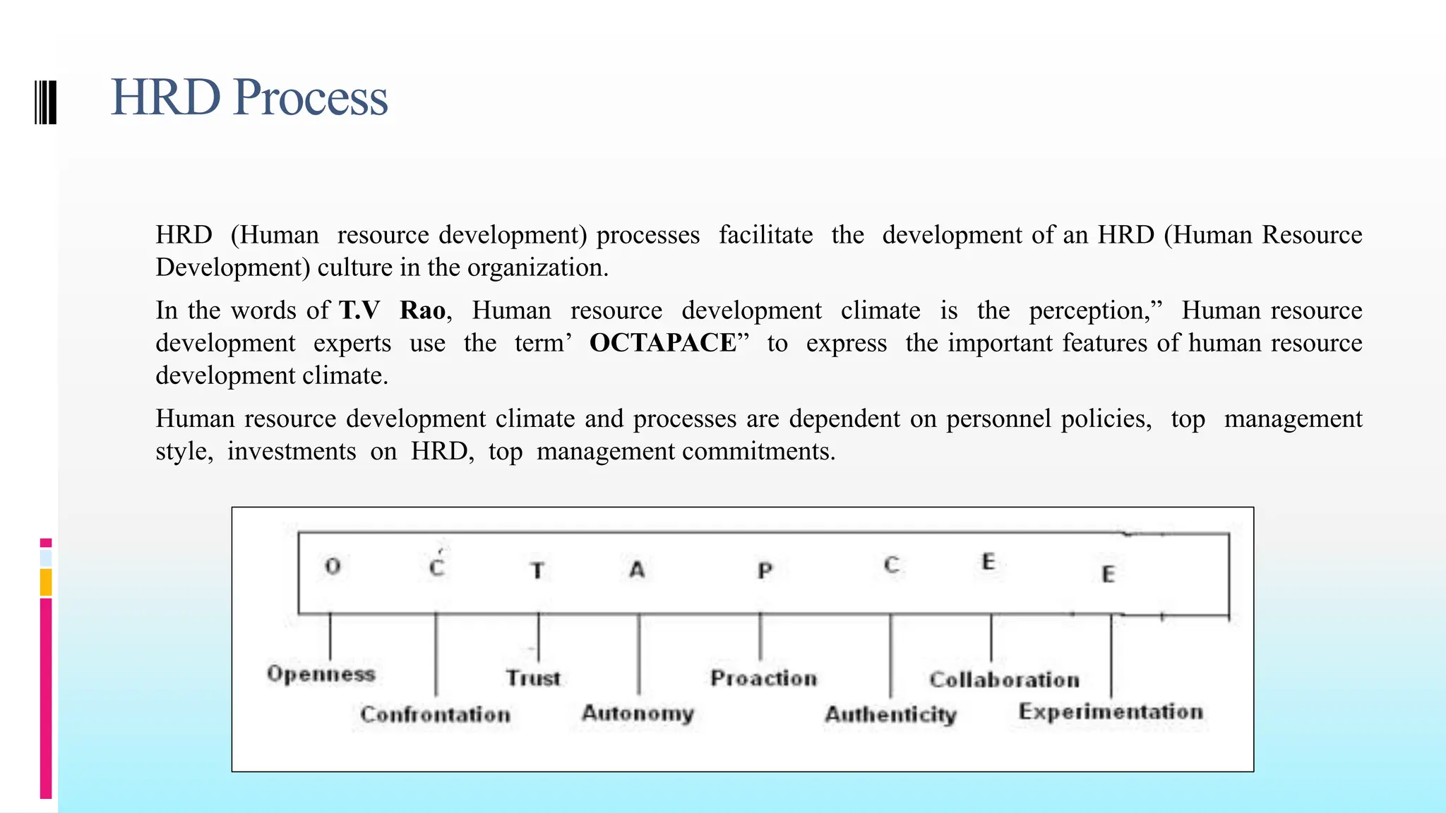 HRD MATRIX Notes in HRD for BBA and MBA. | PPTX
