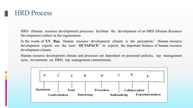 HRD MATRIX Notes in HRD for BBA and MBA. | PPTX