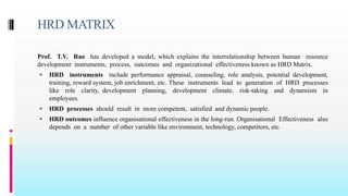 HRD MATRIX Notes in HRD for BBA and MBA. | PPTX