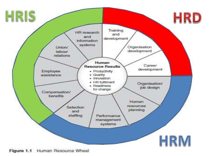 hrd model