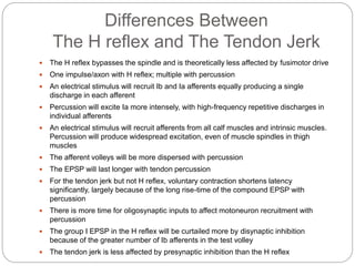 H Reflexes in Clinical Practice | PPTX