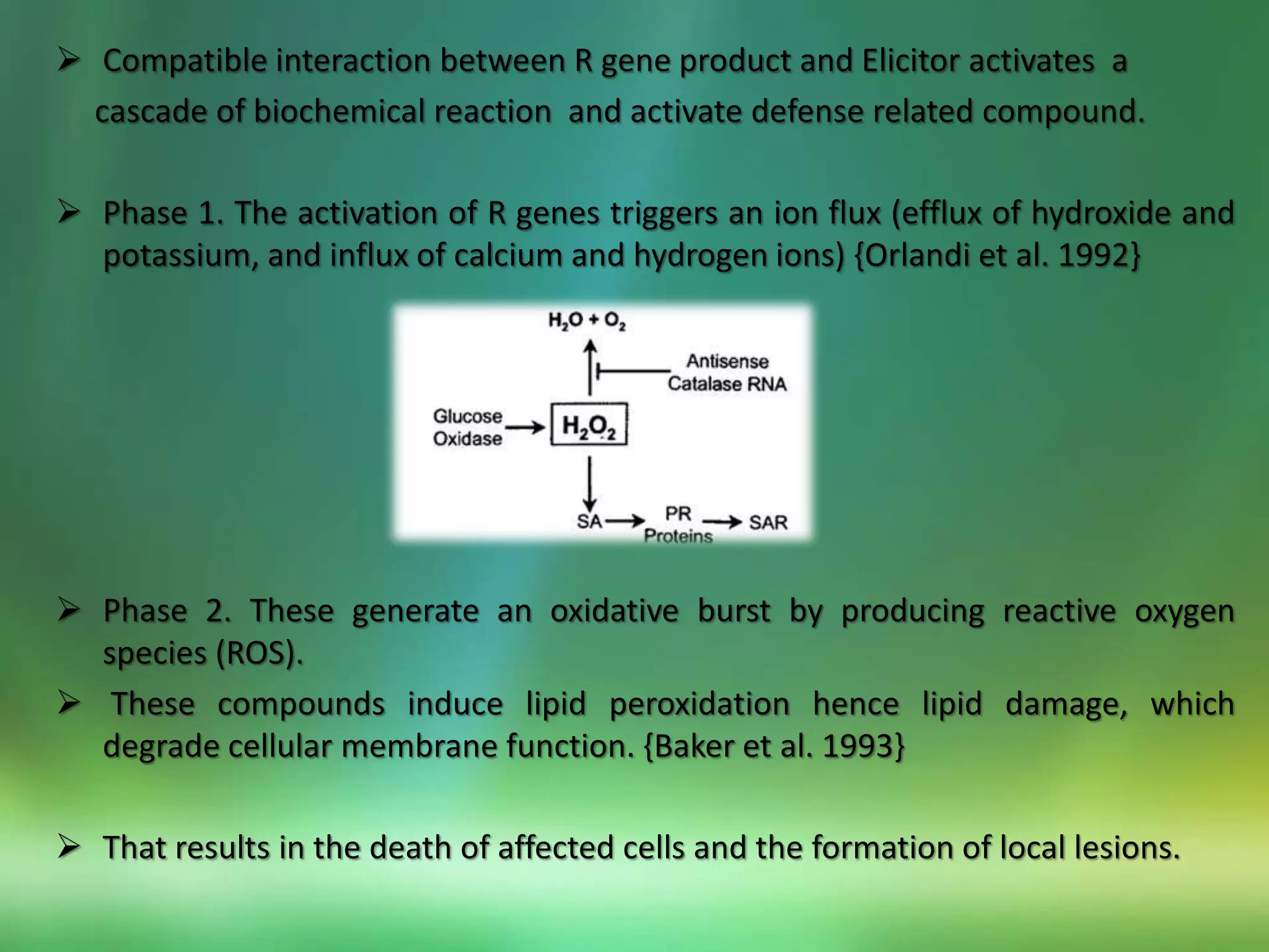Hypersensitive Reaction in plant and their mechanism | PPTX