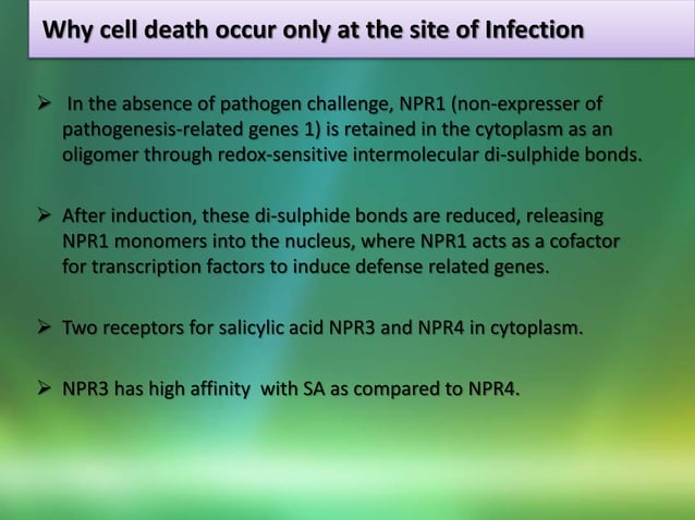 Hypersensitive Reaction in plant and their mechanism | PPTX