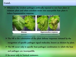Hypersensitive Reaction in plant and their mechanism | PPT