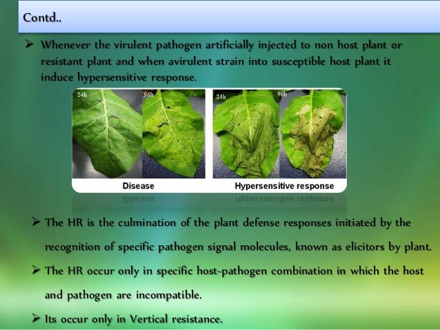 Hypersensitive Reaction in plant and their mechanism